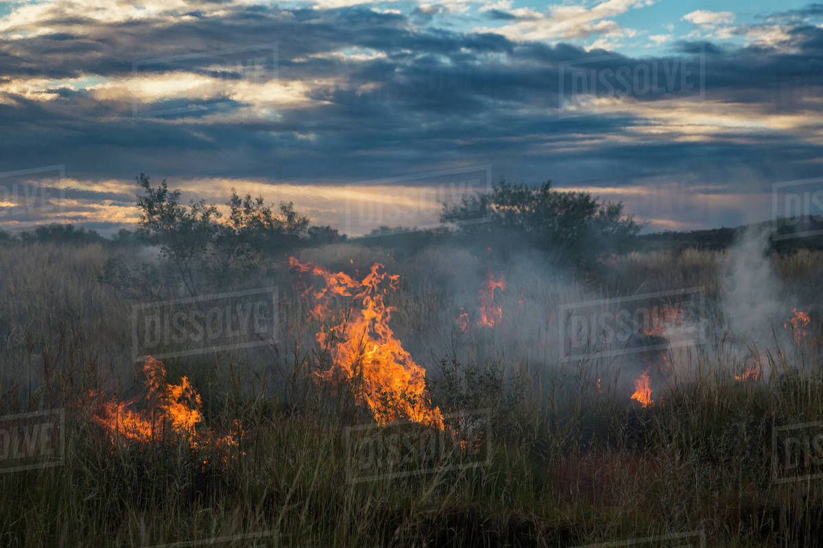 Fire on grassy field against cloudy sky during sunset, Newman, Western ...
