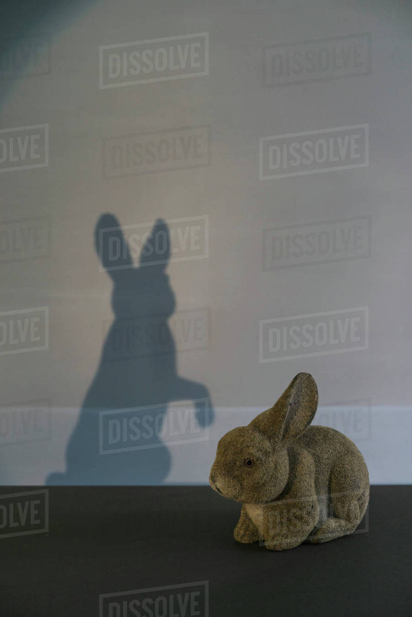 Rabbit figurine with shadow on wall at home - Royalty-free Stock Photo ...