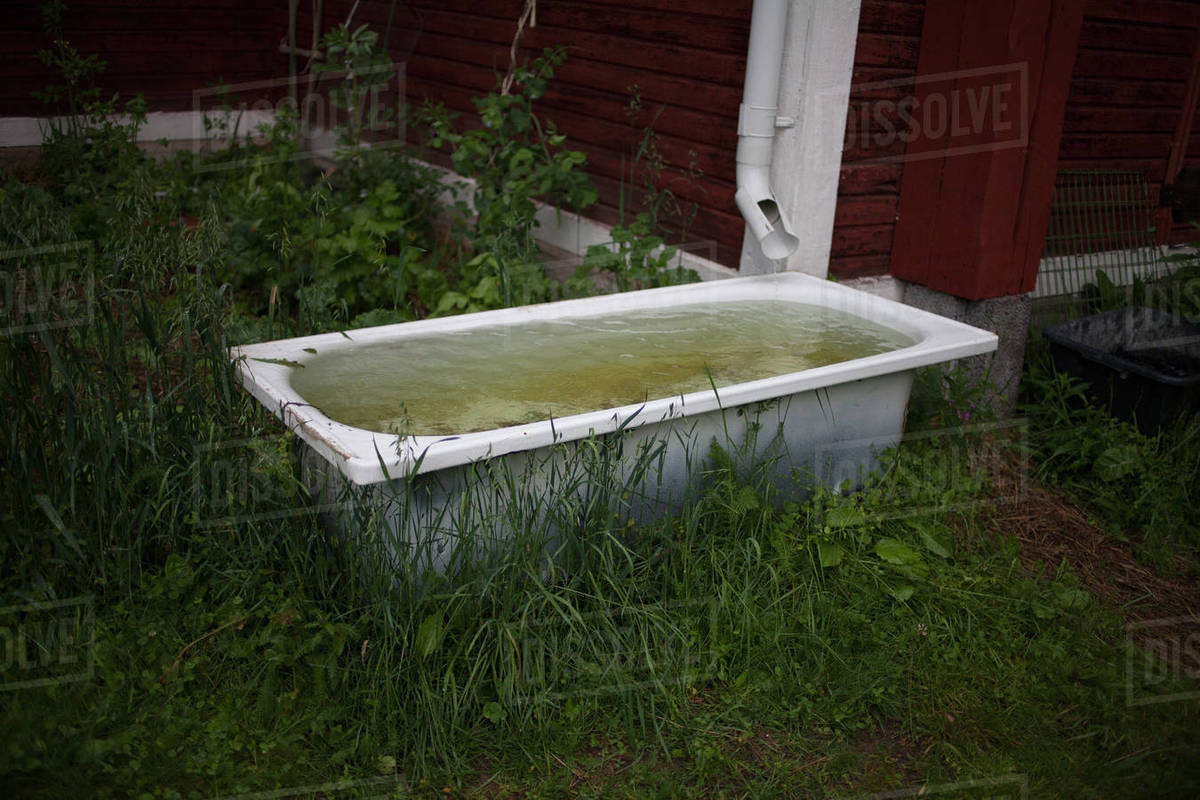 A trough full of water in a yard - Royalty-free Stock Photo | Dissolve