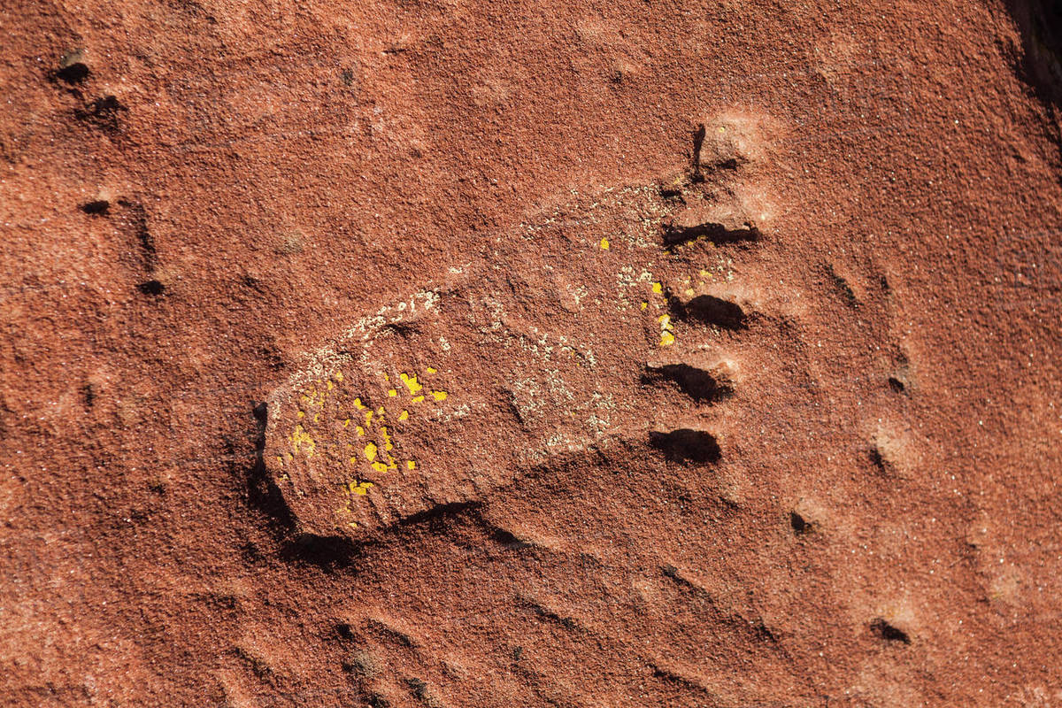 Full frame shot of footprint on rock surface - Royalty-free Stock Photo ...