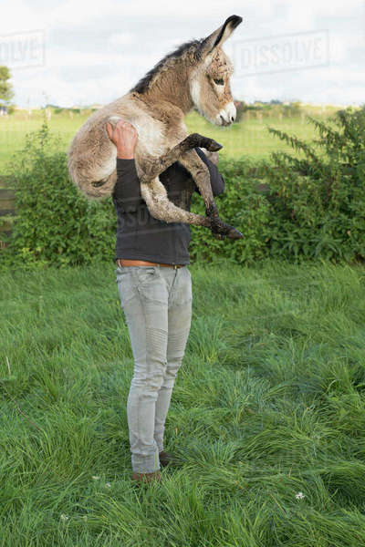 Man holding goat on farm - Stock Photo - Dissolve