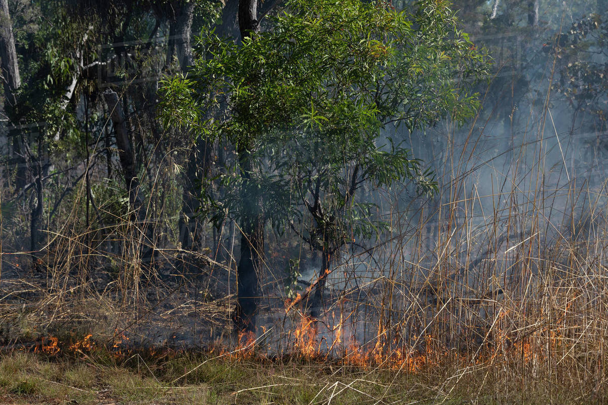 Preventative patch burning fire in woods, Kakadu National Park ...