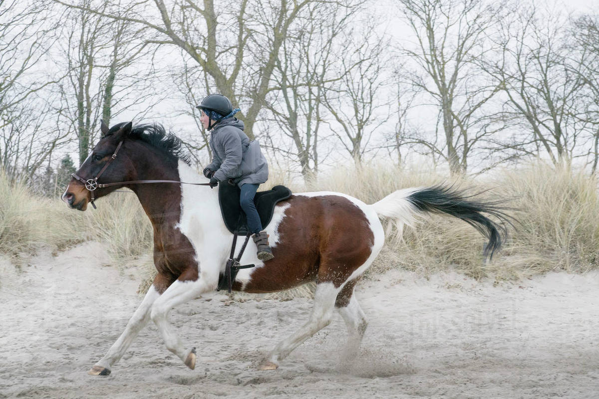 Girl riding galloping horse in sand - Stock Photo - Dissolve