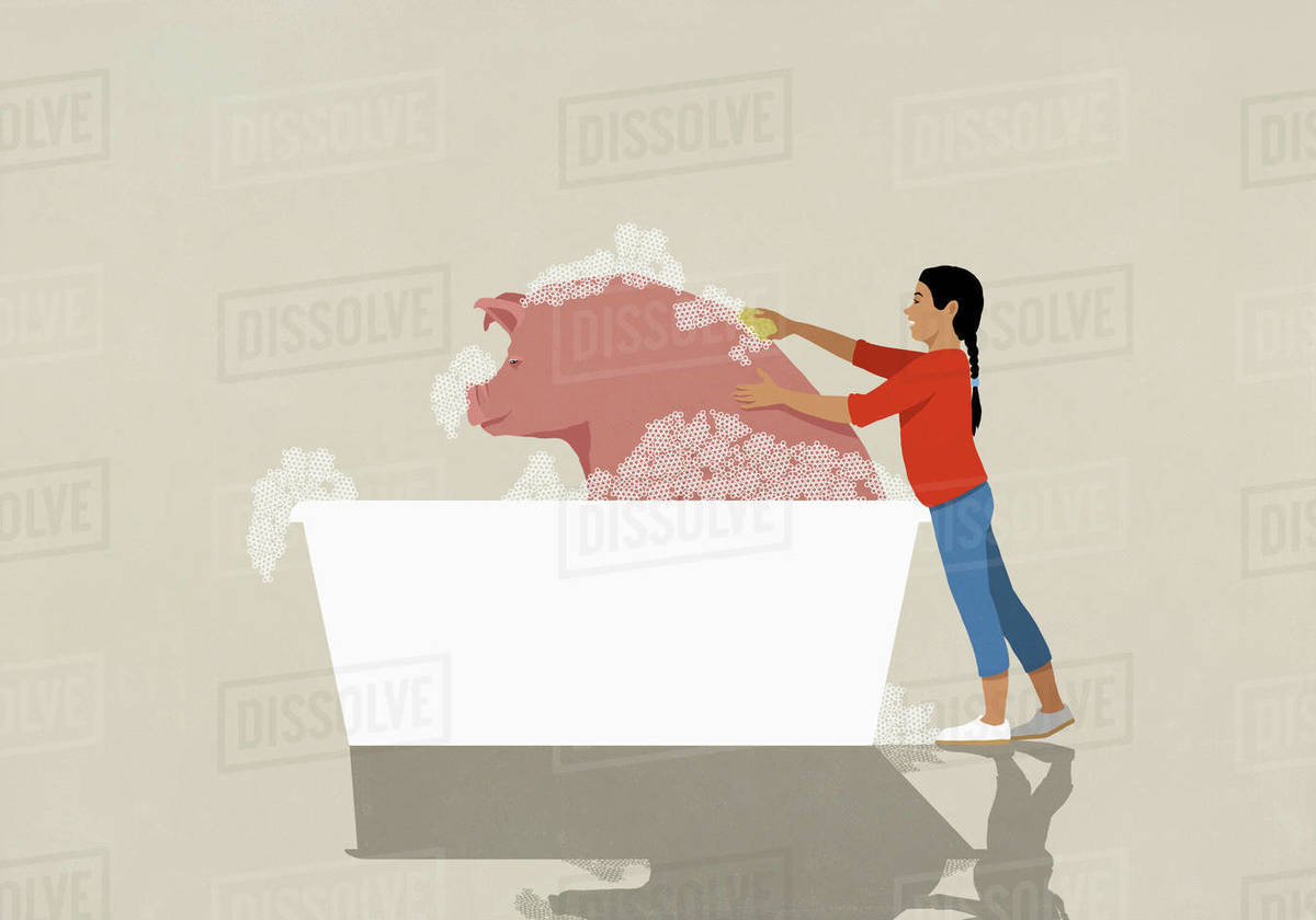 Girl giving pet pig a bubble bath, washing bag with sponge - Royalty ...