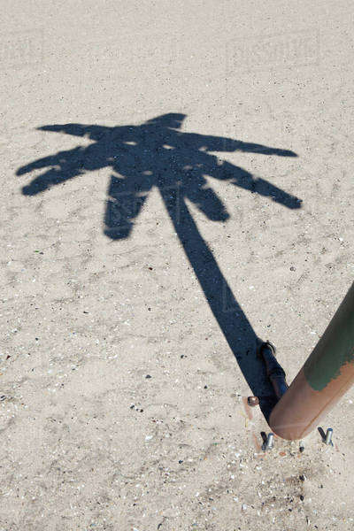 A person standing next to a fake palm tree, focus on shadows - Royalty ...