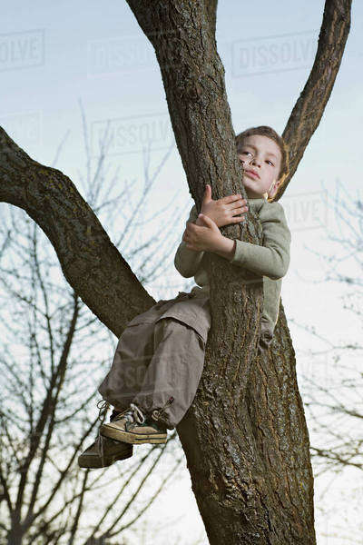 An unhappy boy sitting in a tree gripping a branch - Stock Photo - Dissolve